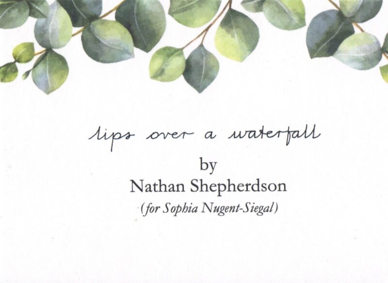 Nathan Shepherdson: The Artist’s Order – Sophia Nugent – Siegal